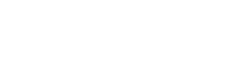 Plettac Metrix EasyStair